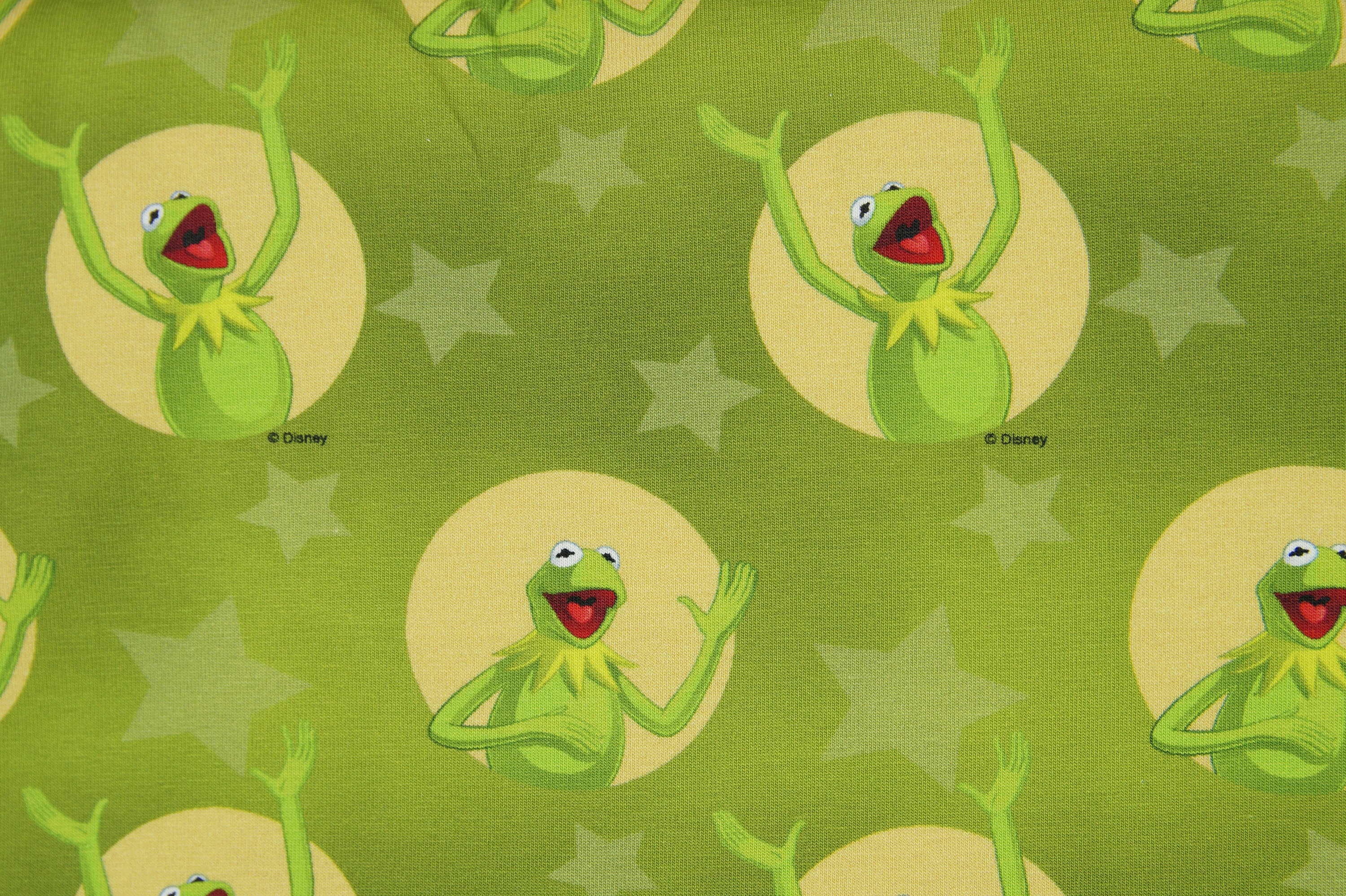 Jersey Digital Print Disney With Kermit and Stars in Green in - Etsy