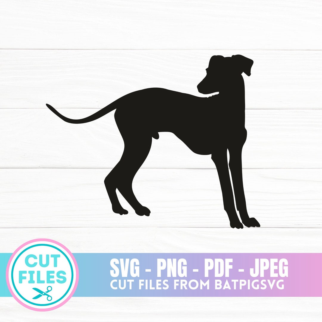 Italian Greyhound, Greyhound SVG, Dog Svg, Dog Silhouette, Dog Mom ...