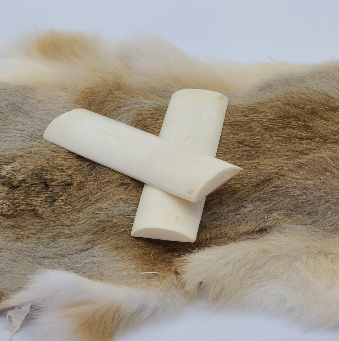 Bone Slab 3" X 1.5", New Sizing for Carving, Jewelry Making, and ...