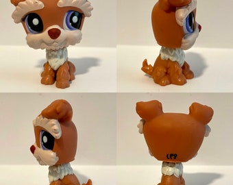 Lps Littlest Pet Shop BLEMISHED Authentic Brown Beige Guinea Pig 157 - Etsy