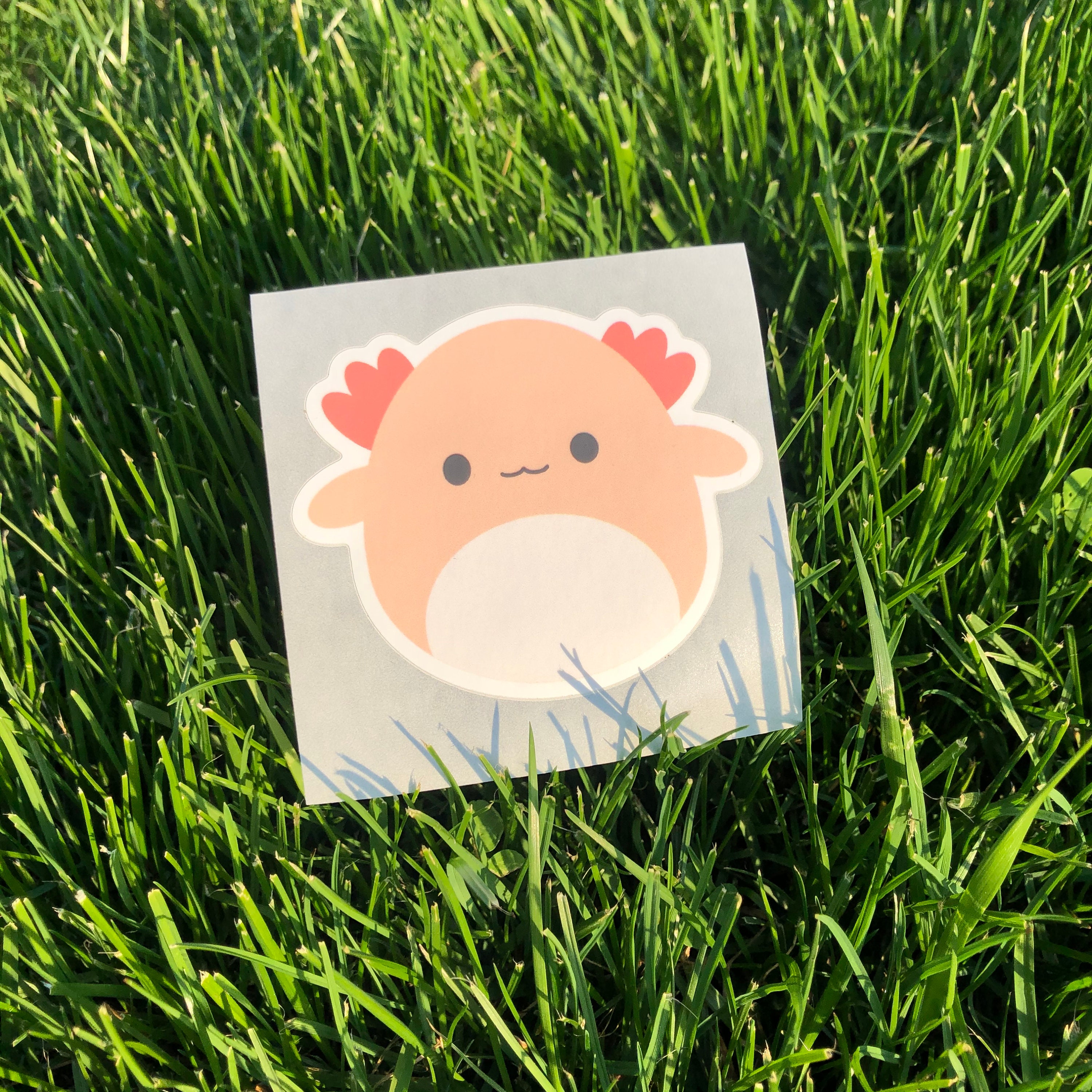 Axolotl Waterproof Sticker - Etsy