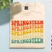 Springsteen Vintage Retro Svg Png, Spring Shirt Svg, Vacay Svg, Family ...
