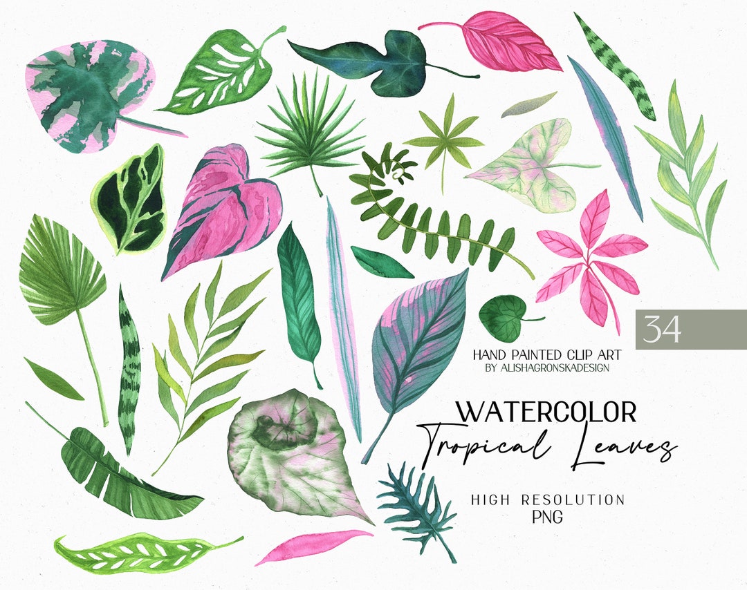 Watercolor Tropical Leaves Clipart, Hand Painted Monstera Leaves Jungle ...