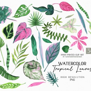 Watercolor Tropical Leaves Clipart, Hand Painted Monstera Leaves Jungle ...