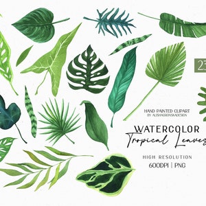 Watercolor Tropical Leaves Clipart, Hand Painted Monstera Leaves Jungle ...