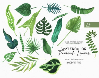Watercolor Tropical Leaves Clipart, Hand Painted Monstera Leaves Jungle ...