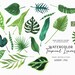 Watercolor Tropical Leaves Clipart, Hand Painted Monstera Leaves Jungle ...