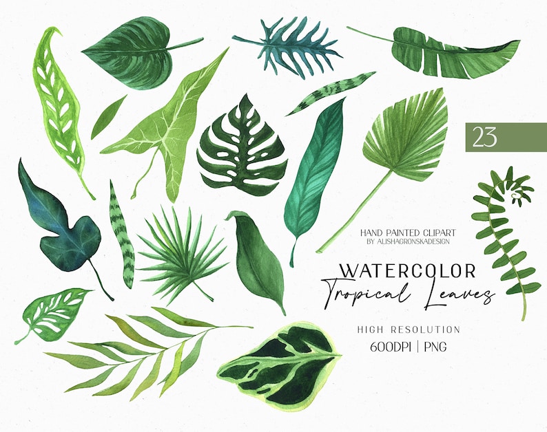 Watercolor Tropical Leaves Clipart, Hand Painted Monstera Leaves Jungle ...