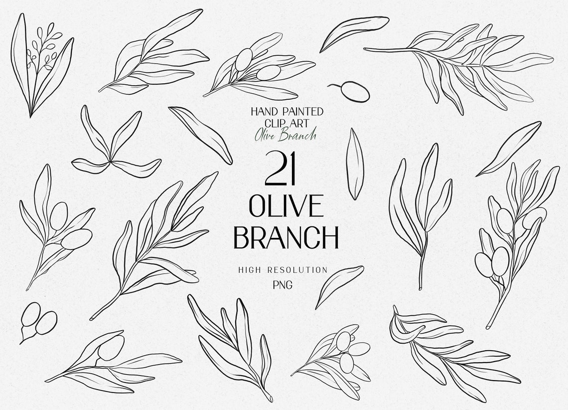 Olive Branch Line Art | Olive Branch Luxe Clipart Set | Botanical ...