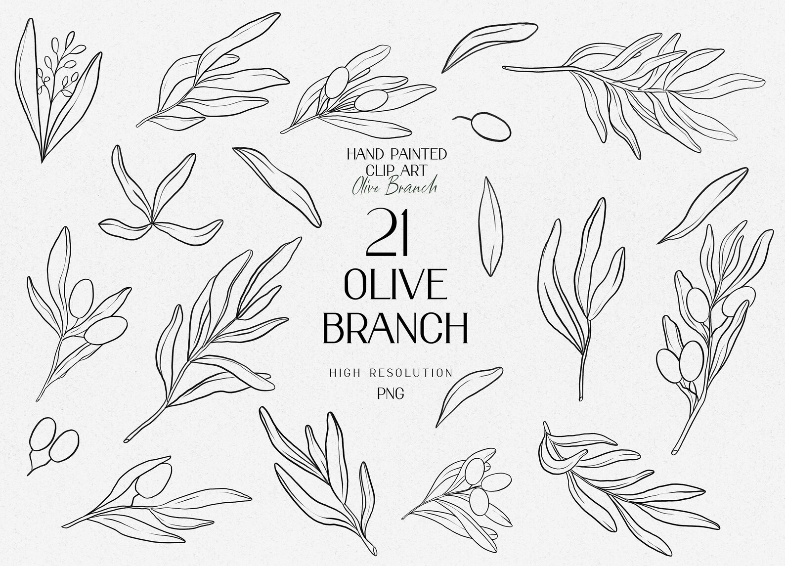 Olive Branch Line Art Olive Branch Luxe Clipart Set Botanical Clipart ...