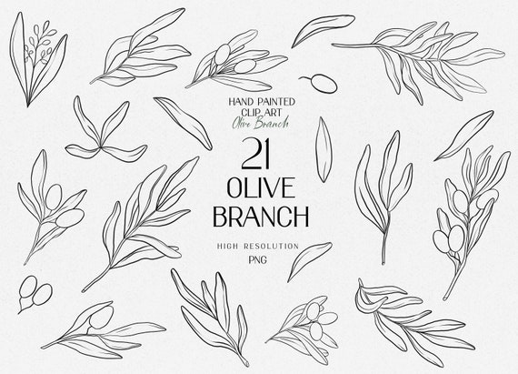 Olive Branch Line Art Olive Branch Luxe Clipart Set | Etsy
