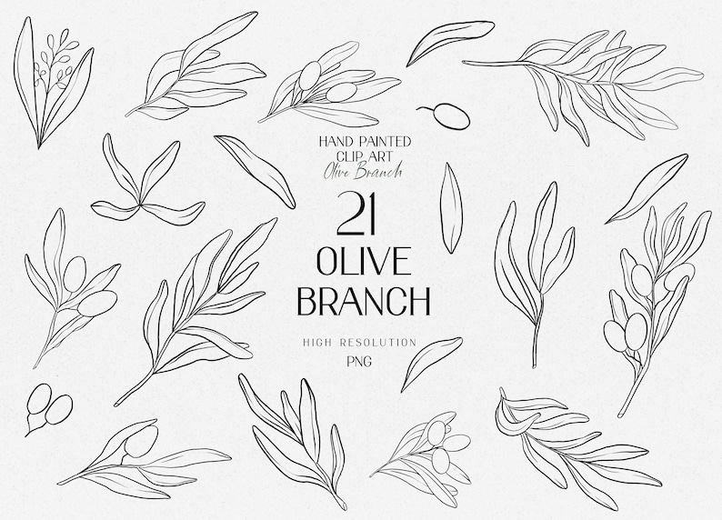 Olive Branch Line Art | Olive Branch Luxe Clipart Set | Botanical ...