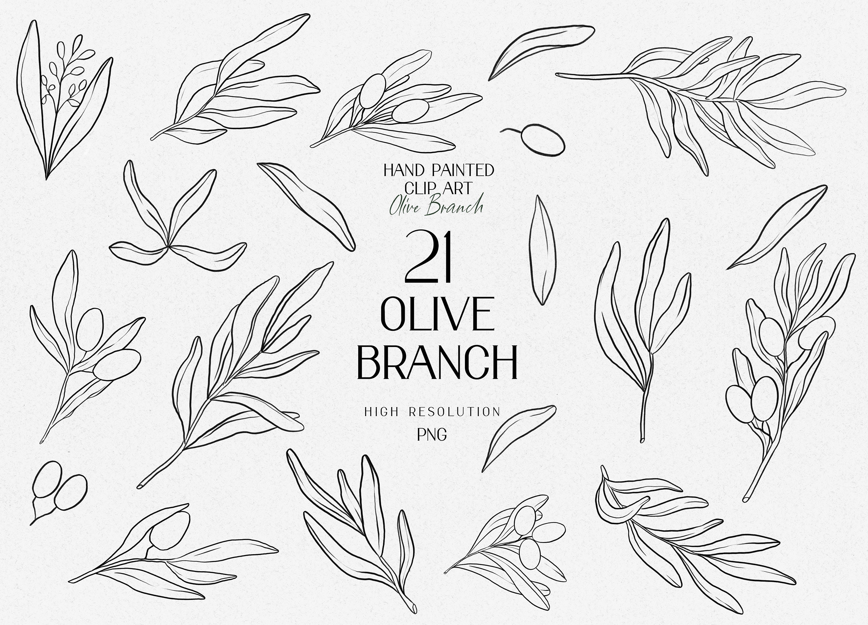 Olive Branch Line Art Olive Branch Luxe Clipart Set - Etsy