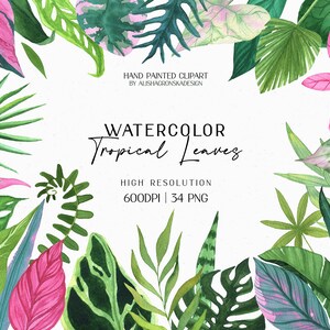 Watercolor Tropical Leaves Clipart, Hand Painted Monstera Leaves Jungle ...