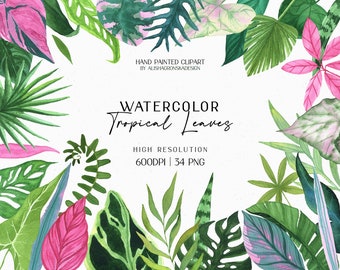 Watercolor Tropical Leaves Clipart, Hand Painted Monstera Leaves Jungle ...