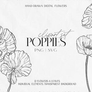 Line Poppy Clipart PNG - Wildflowers Clipart SVG - Wildflower SVG Files ...