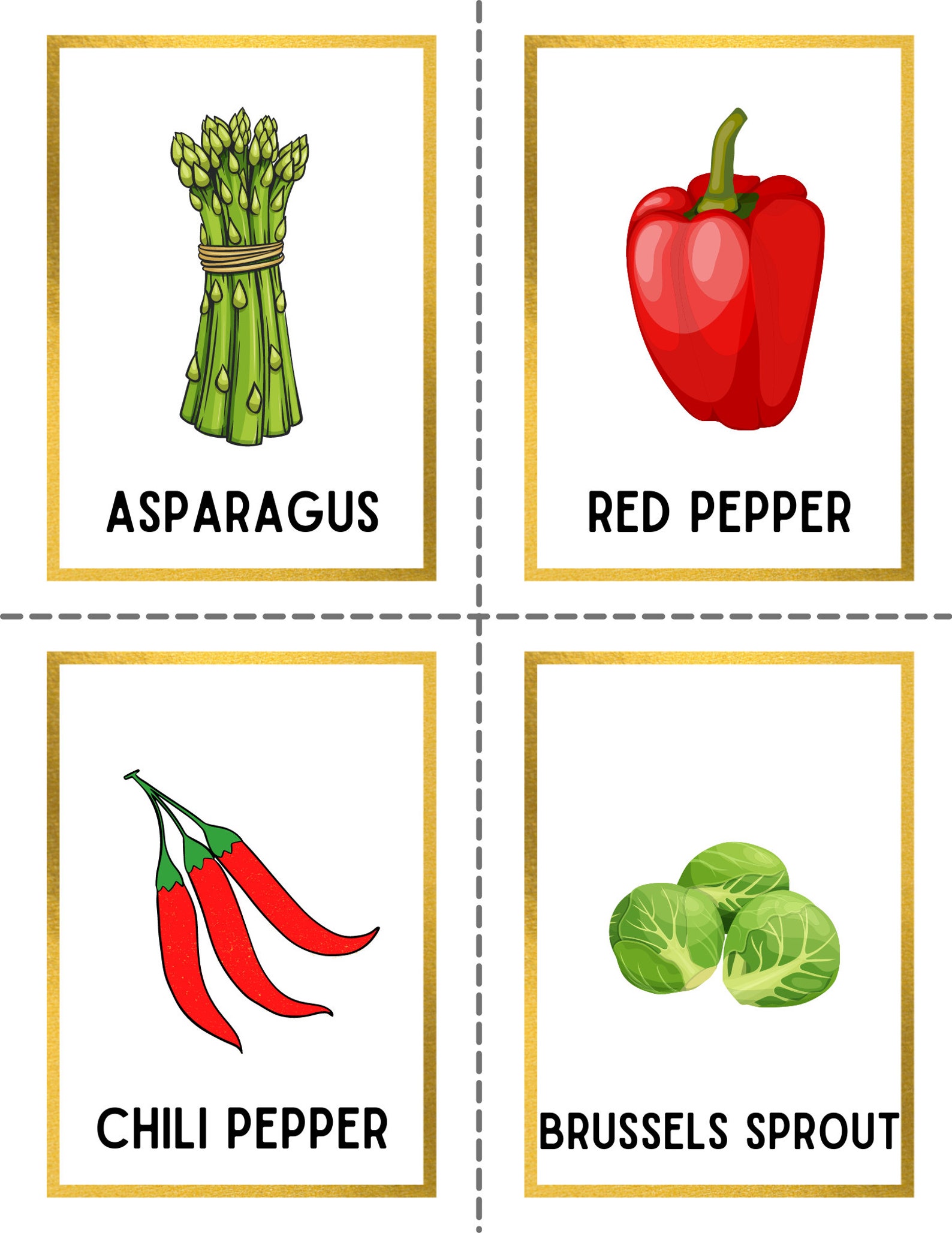 Printable Vegetable Cards 20 Printable Vegetable Flash Cards - Etsy