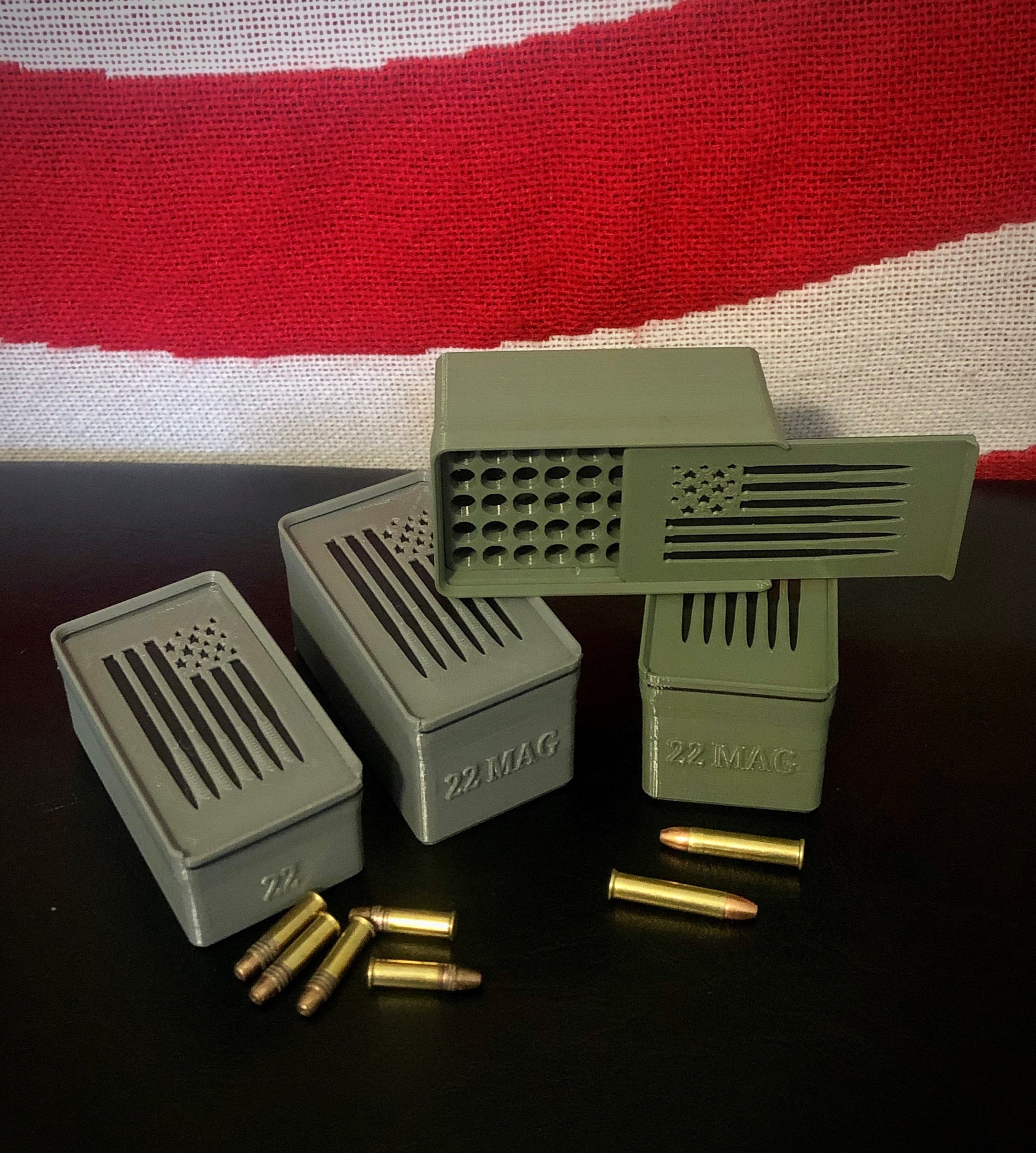 3d Printed 22LR and 22 MAG Ammo Storage Boxes - Etsy Israel