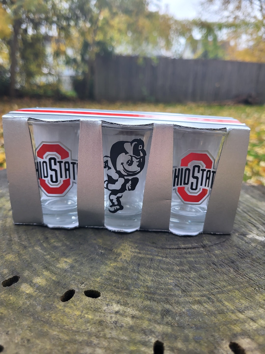 Ohio State Inspired Shot Glass Set - Etsy