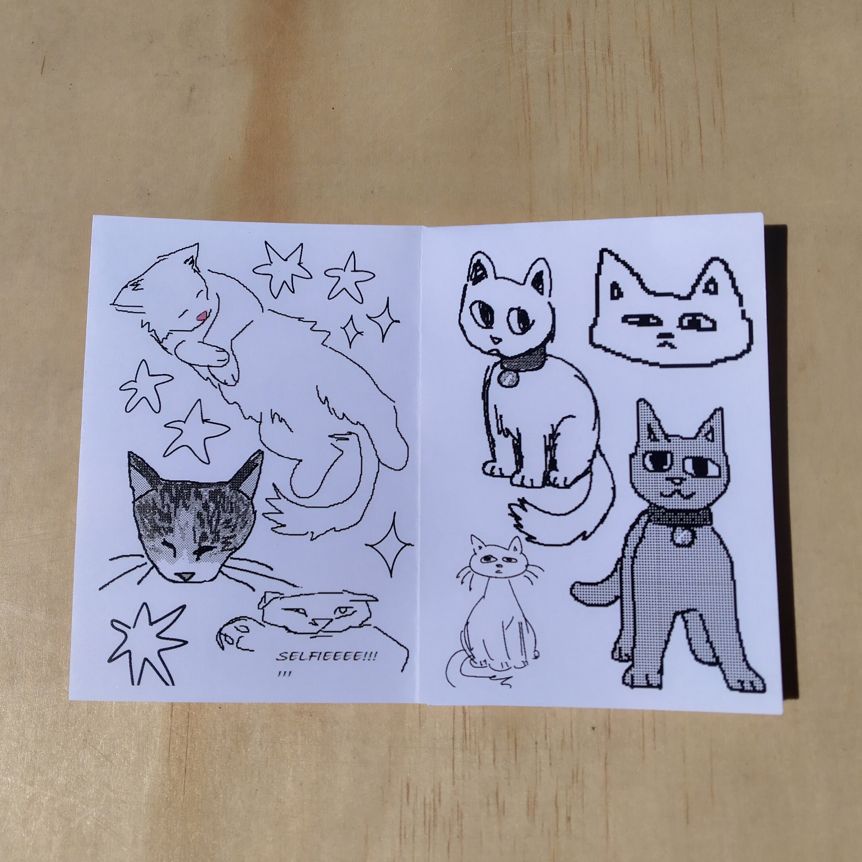 Scrungled Cats Mspaint Art Zine - Etsy