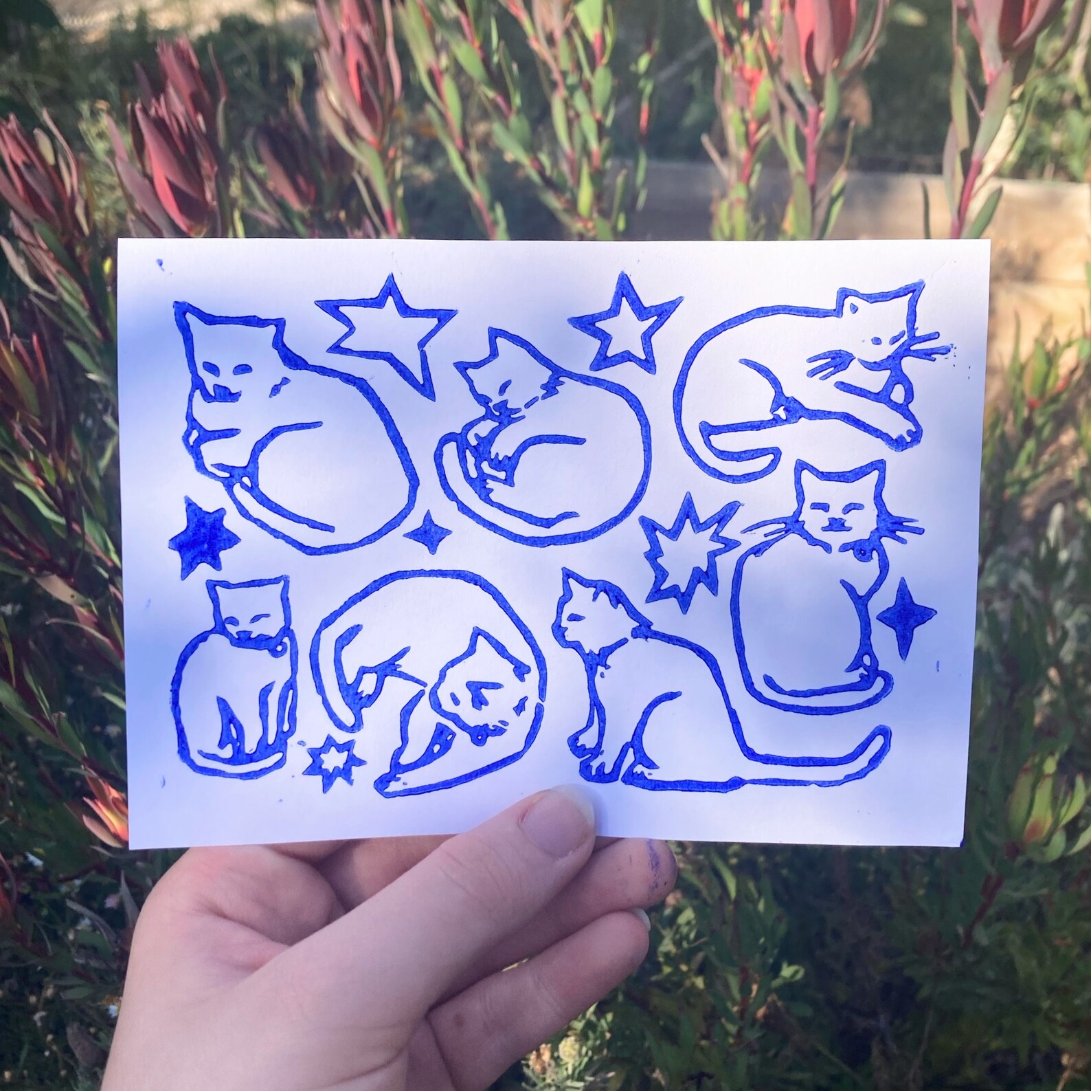 Cats & Stars Original Lino Print - Etsy