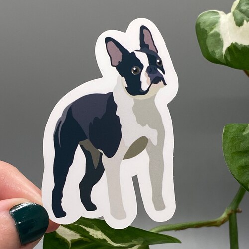 Cute Boston Terrier Dog Breed Sticker Bullet Journaling | Etsy
