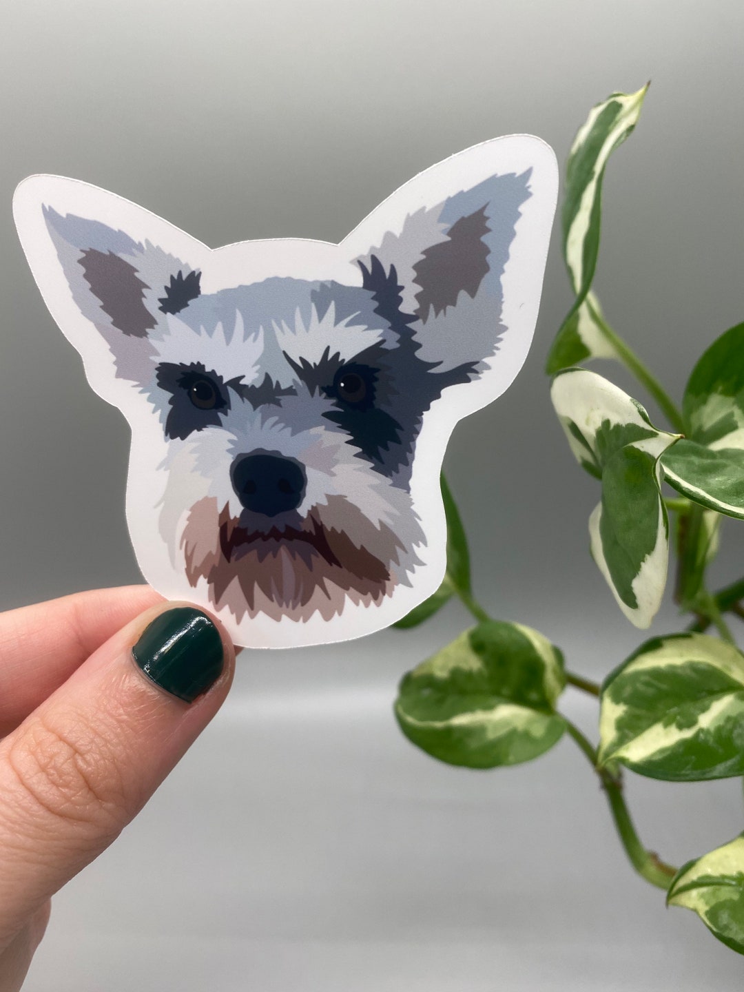 Matte Cute Schnauzer Sticker - Purebred Dog Breed - Mini Schnauzer ...