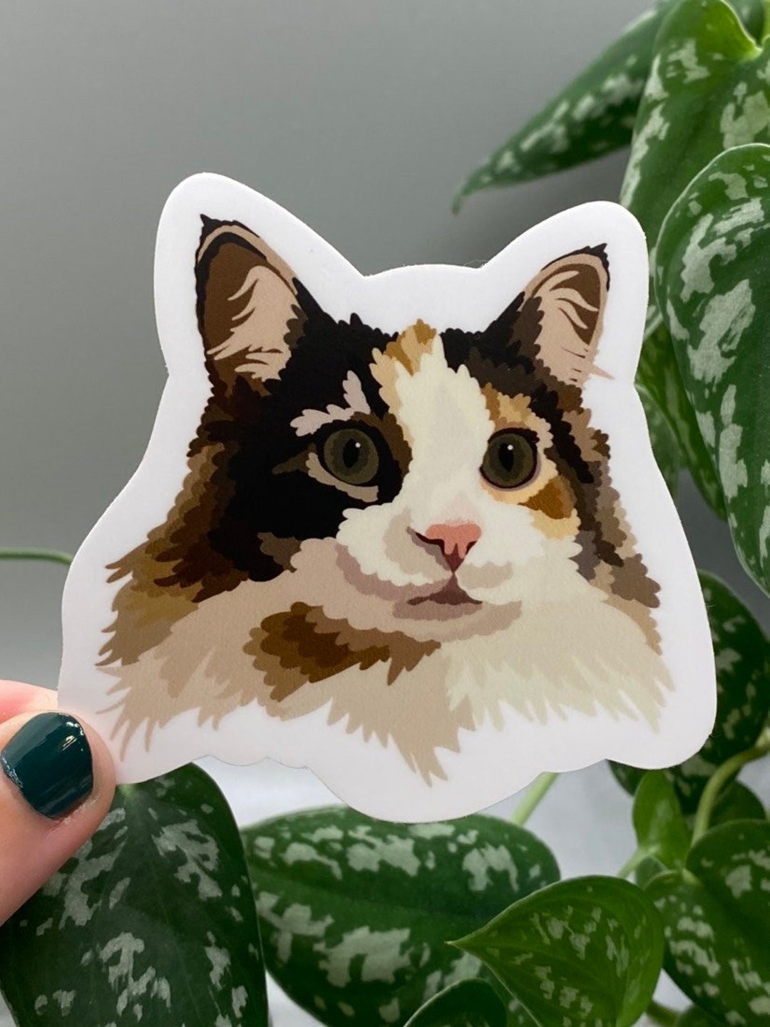 Vinyl Calico Cat Sticker Domestic Long Haired Cats Cat Mom Purebred Cat ...