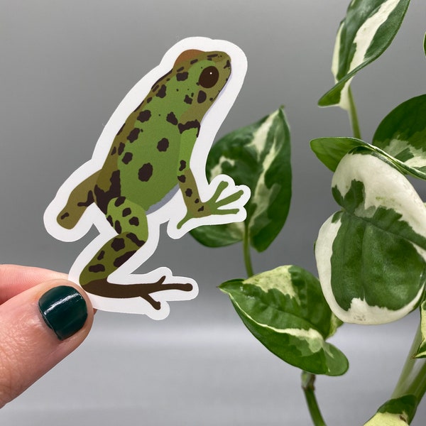 Woodland Native Art - Etsy