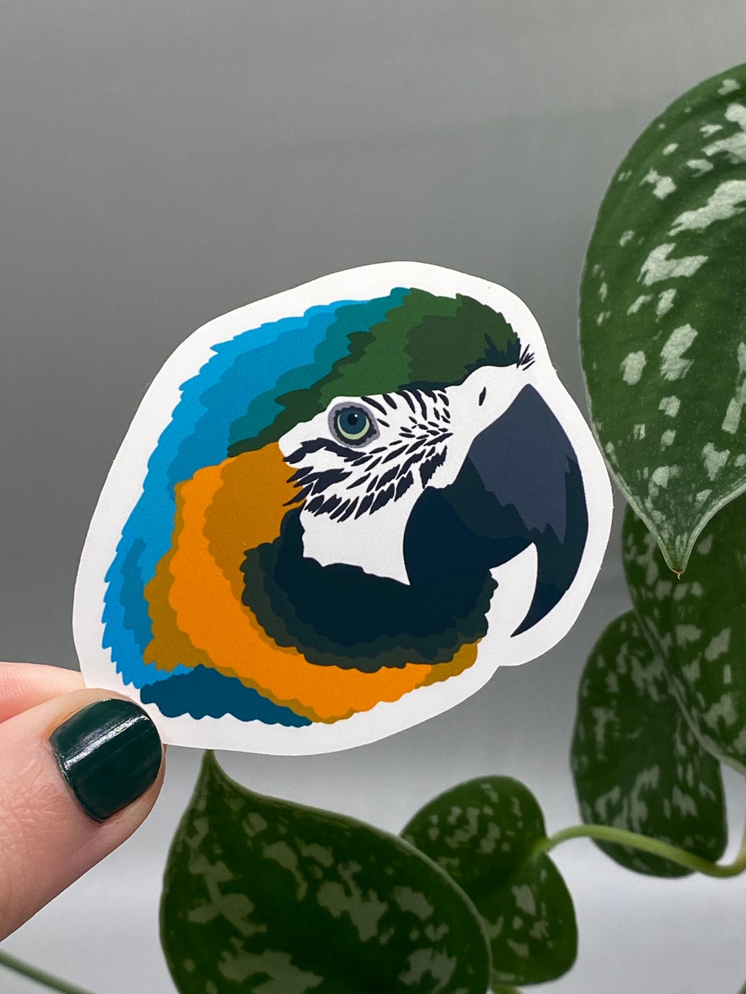 Blue and Gold Macaw Sticker Matte Bird Stickers Exotic Pets Parrot ...