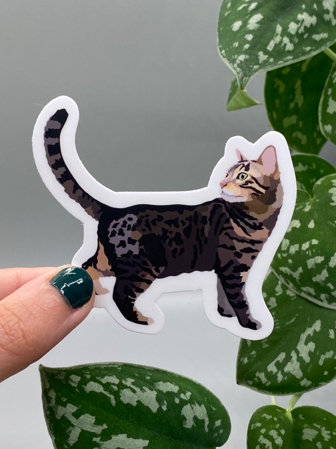 Vinyl Bengal Cat Sticker Waterproof Stickers Hydro Flask Water Bottle ...
