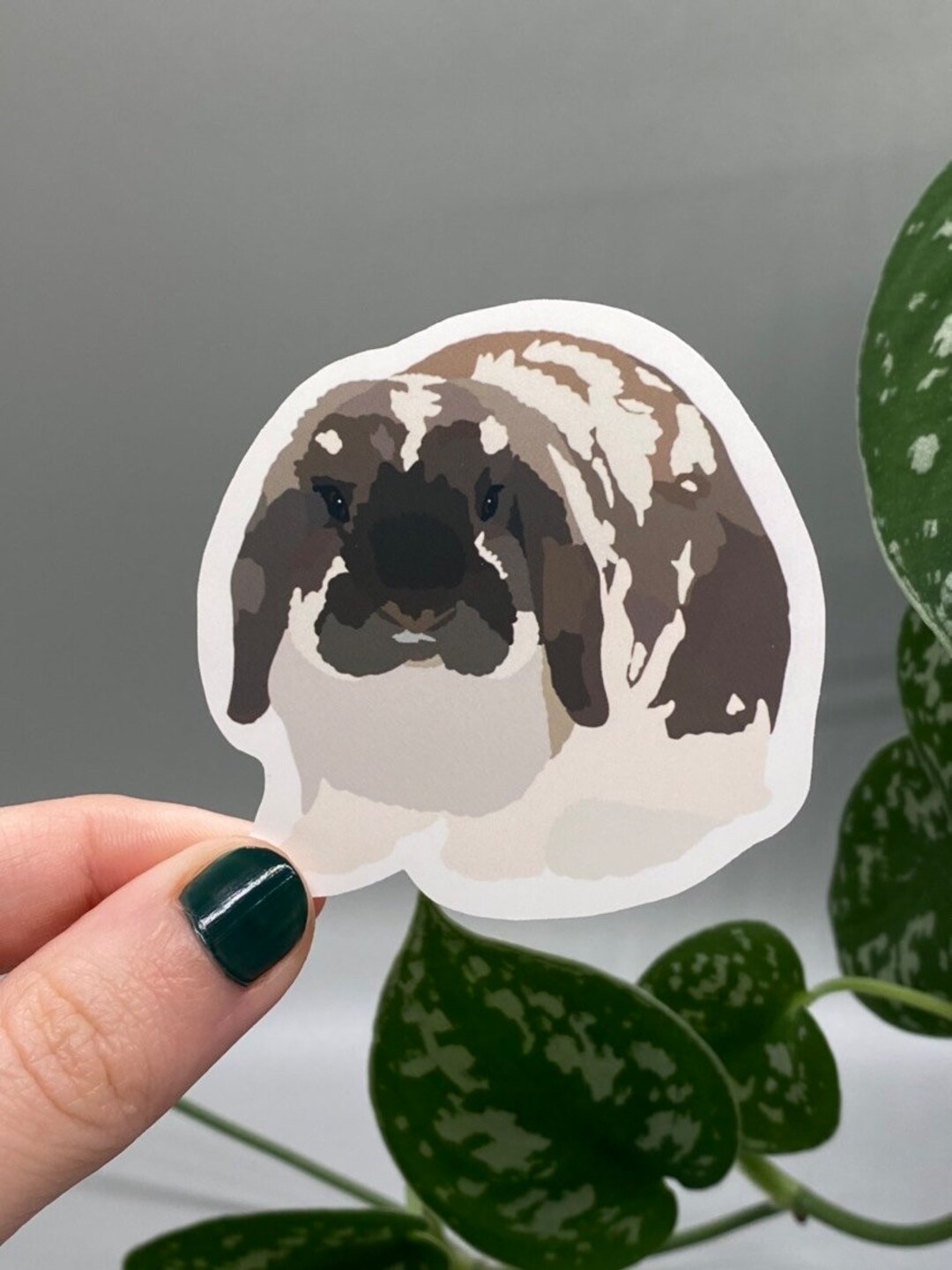 Adorable Holland Lop Rabbit Sticker Mini Lops Bunny - Etsy