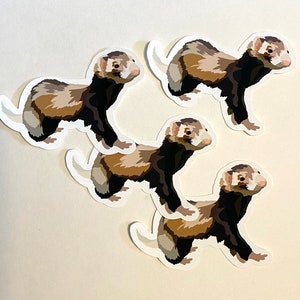 Cute Matte Ferret Sticker Small Mammal Pocket Pet | Etsy
