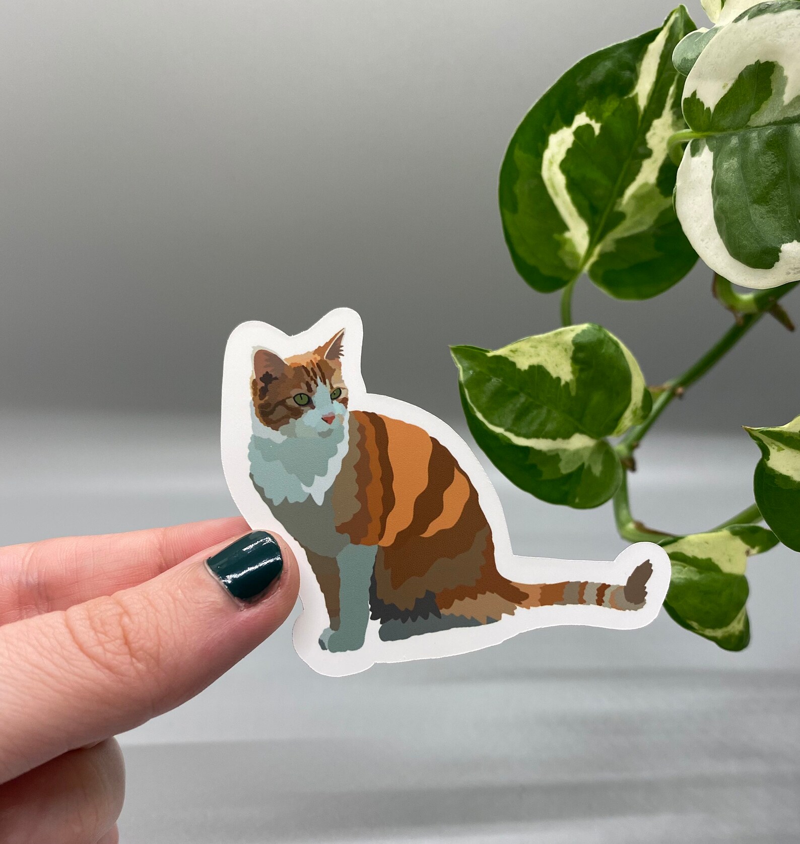 Cute Matte Orange Tabby Cat Sticker Feline Stickers Cat - Etsy