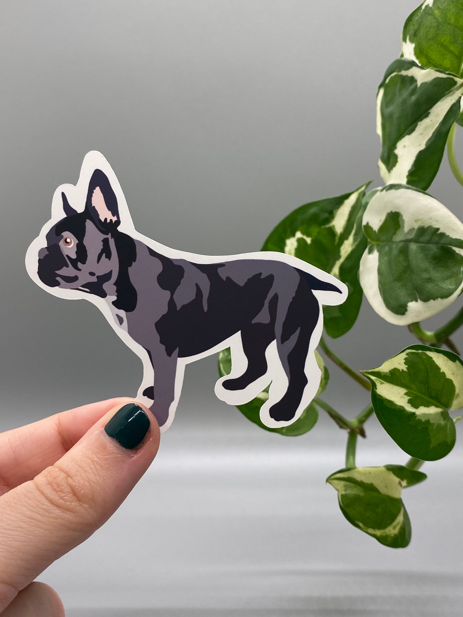 Cute Grey French Bulldog Sticker Bullet Journaling Planner | Etsy