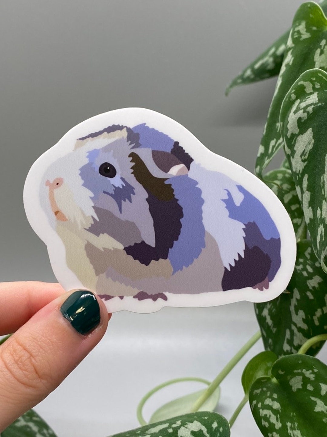 Vinyl Guinea Pig Sticker Pocket Pet Gifts Adorable Guinea Pig Sticker ...