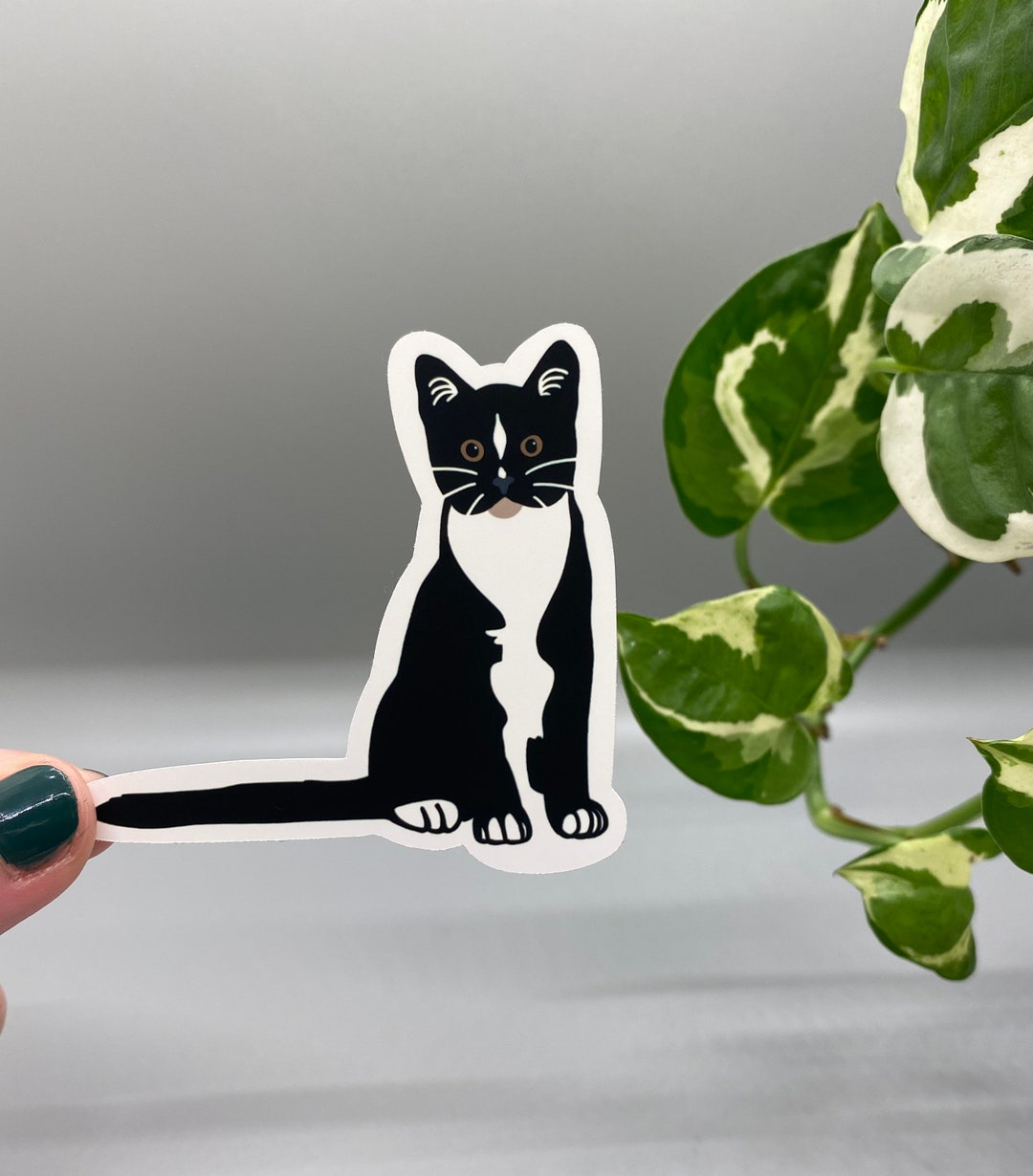 Cute Tuxedo Cat Sticker Bullet Journaling, Planner, Laptop Decal Pet ...