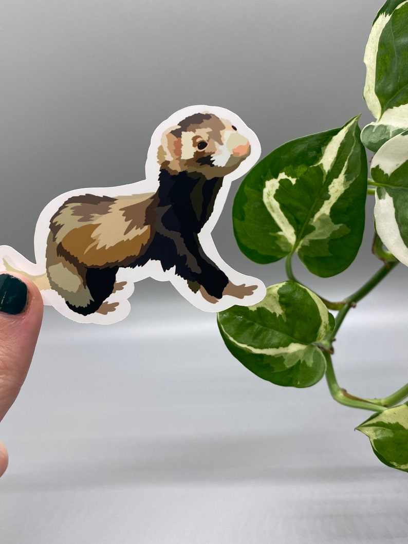 Cute Matte Ferret Sticker Small Mammal Pocket Pet - Etsy