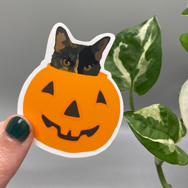 Tortoiseshell - Etsy