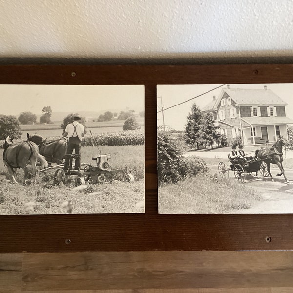 Amish Picture - Etsy