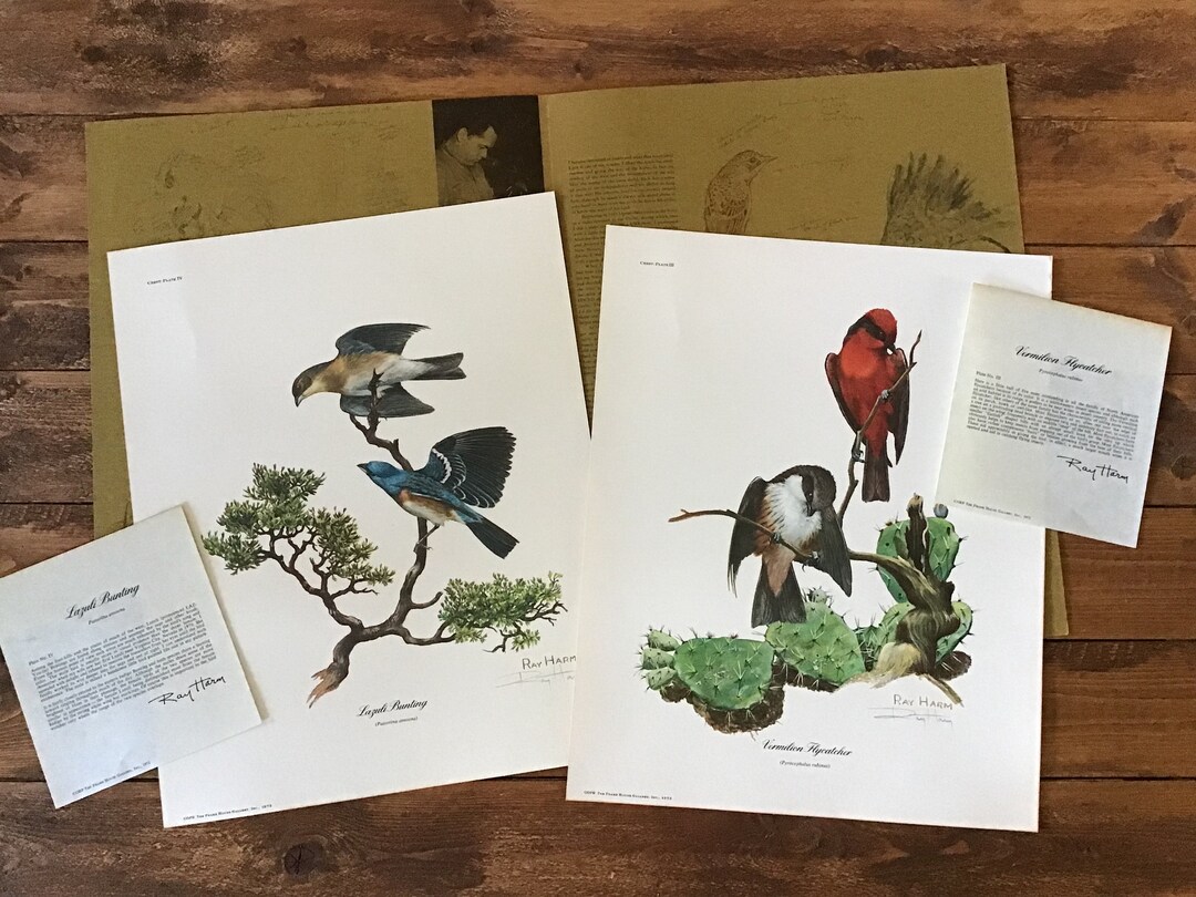 Ray Harm Wildlife Artist Set of 2 Lithographs With Folio- Vermilion ...