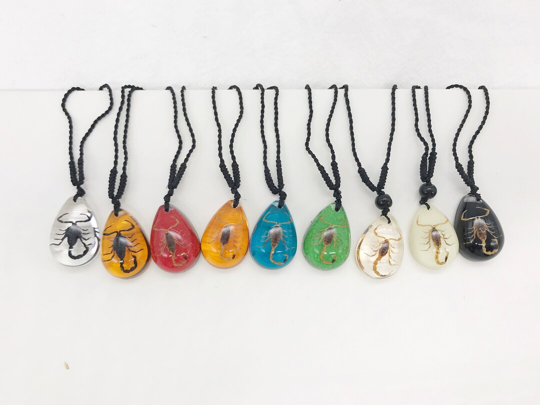 Resin Scorpion Bugs Specimen Pendant Adjustable String Necklace - Etsy