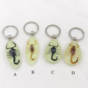 Resin Real Bugs, Beetles, Scorpion Spider Keychain Grows in the Dark ...