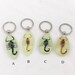 Resin Real Bugs, Beetles, Scorpion Spider Keychain Grows in the Dark ...