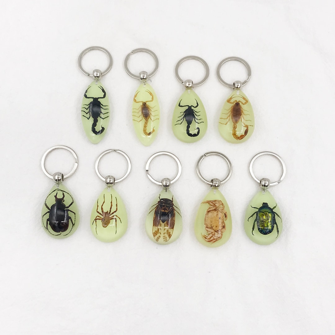 Resin Real Bugs, Beetles, Scorpion Spider Keychain Grows in the Dark ...