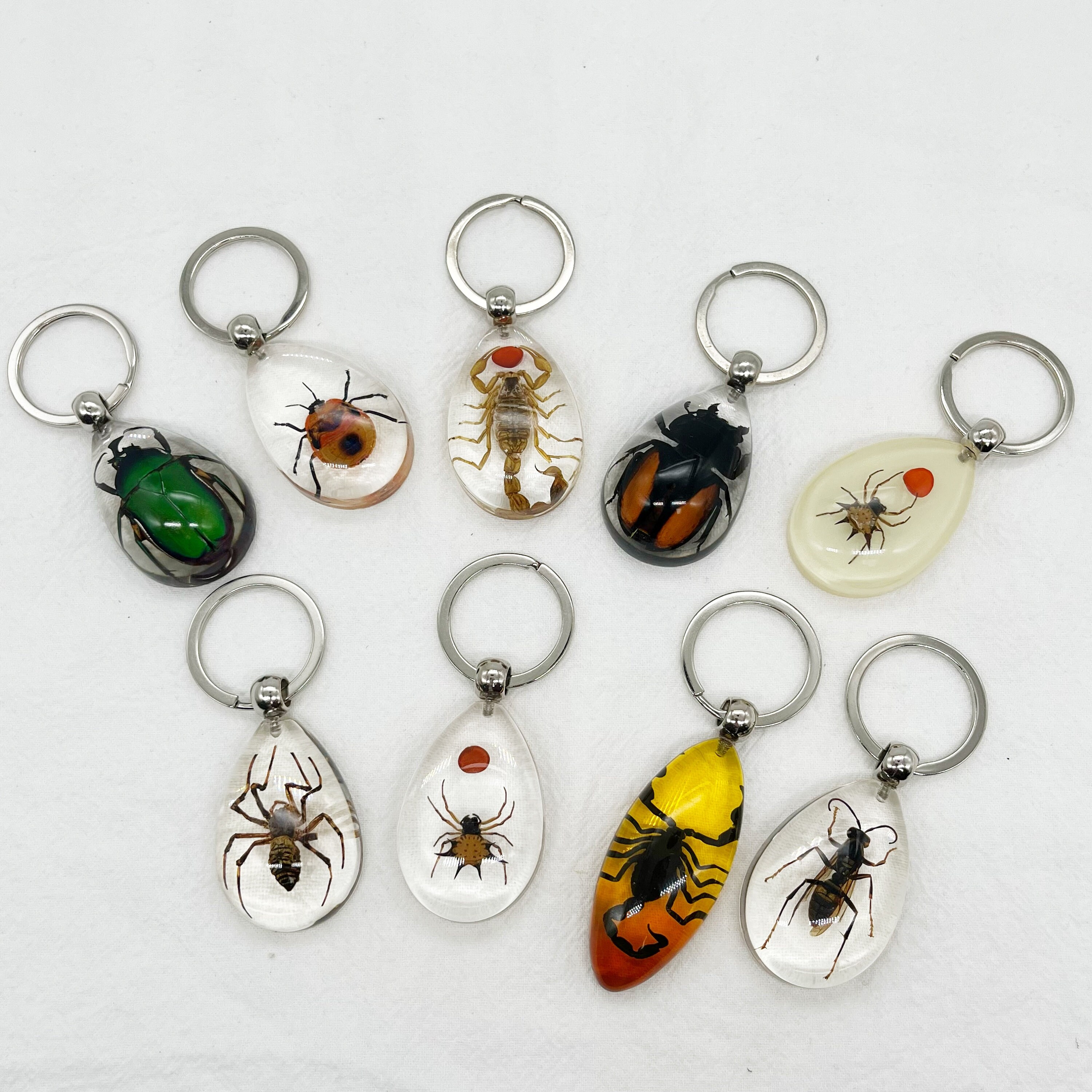 Resin Real Bugs Beetles Scorpion Spider Keychain - Etsy UK