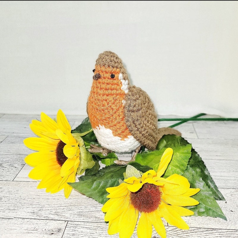 Crochet Robin - Etsy