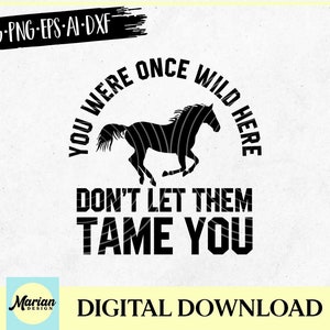 Horse SVG Bundle, Riding Horse Svg, Born to Ride, Horse Svg, Equestrian ...