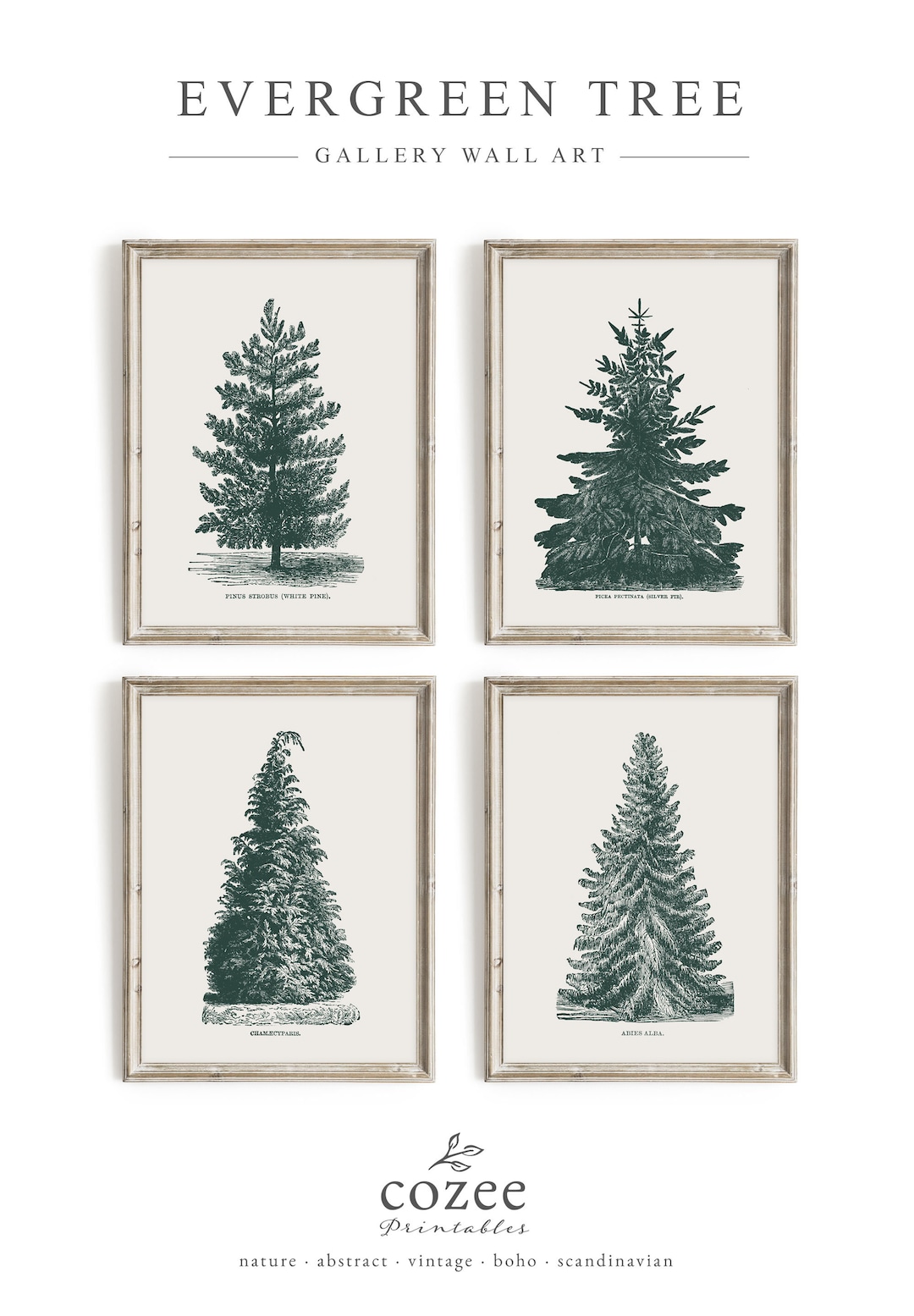 Evergreen Tree Prints, Printable Farmhouse Art, Vintage Wall Art ...