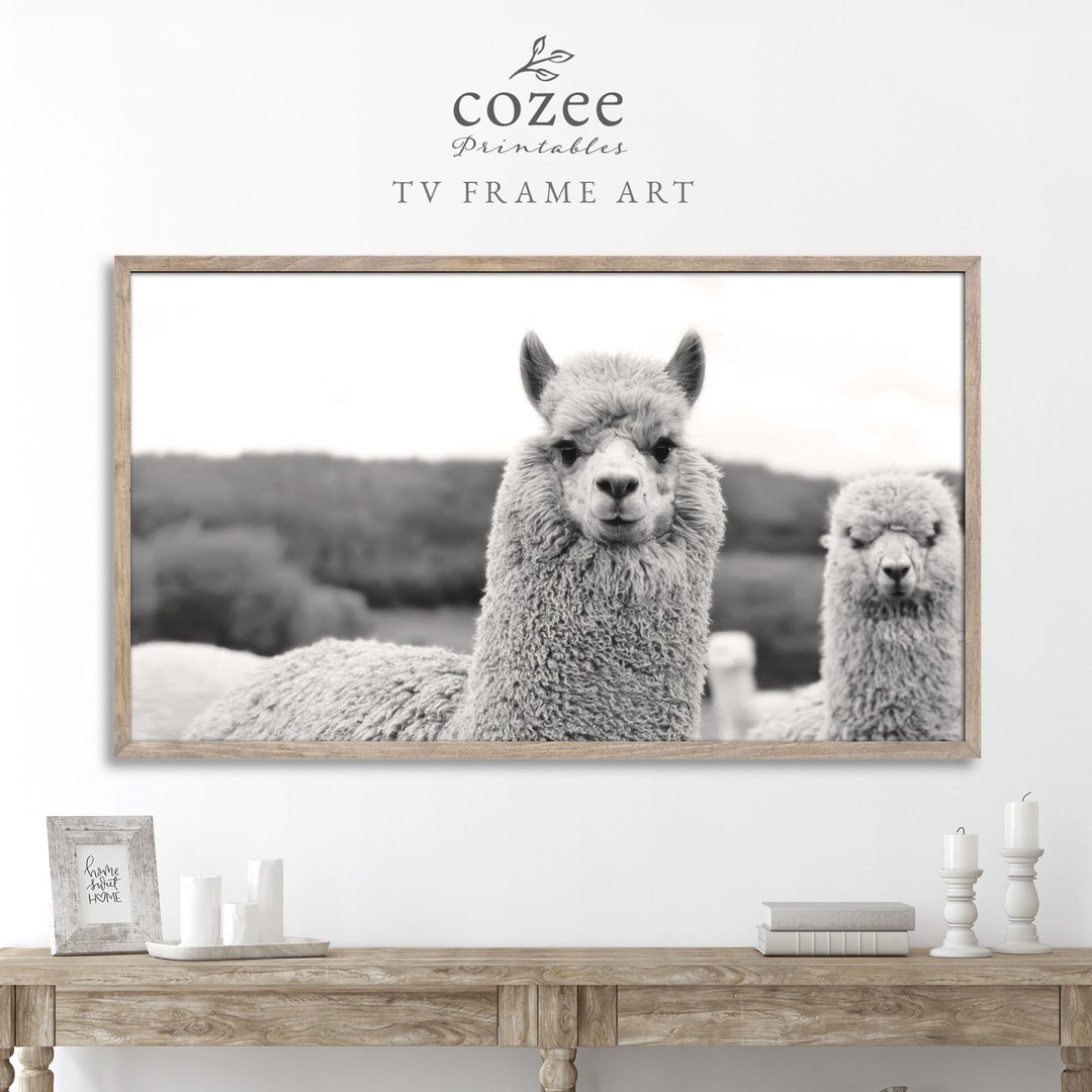 Alpaca Frame TV Art, Farmhouse TV Frame Art, Samsung Frame TV Art ...